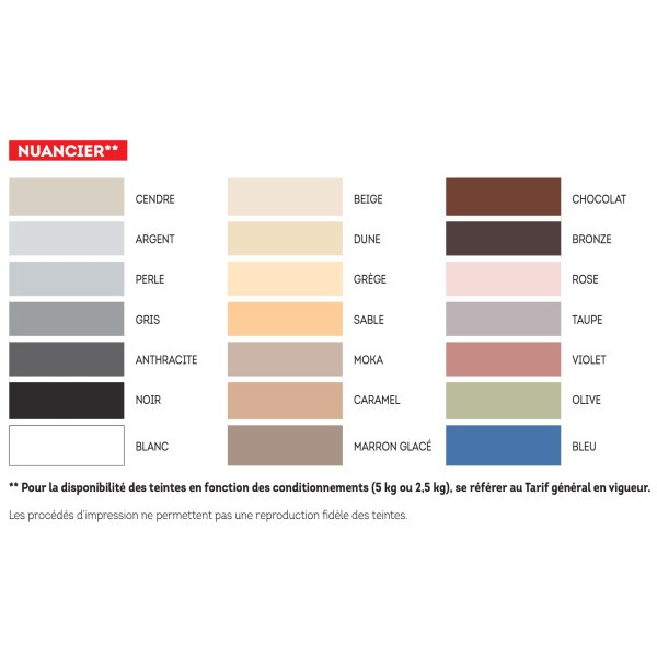 Joint Epoxy ParexLanko Perfect Color Grège 2,5 kg - materiauxnet.com