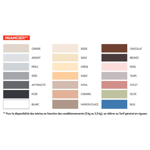 Joint Epoxy ParexLanko Perfect Color 2,5 kg - materiauxnet.com